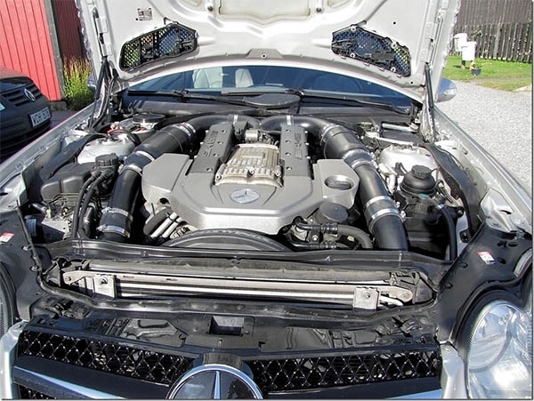 NeedsWings Performance Products. NeedsWings SL55 Dual Cold Air Intake Kit
