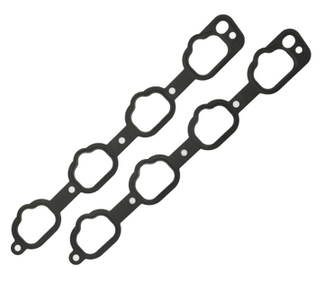 NeedsWings Performance Products. Intake SL55